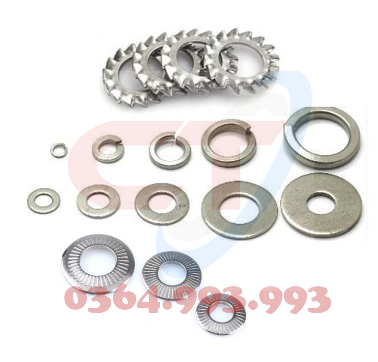 Long Đền Phẳng - Long Đền Vênh - Long Đền Chống Trượt